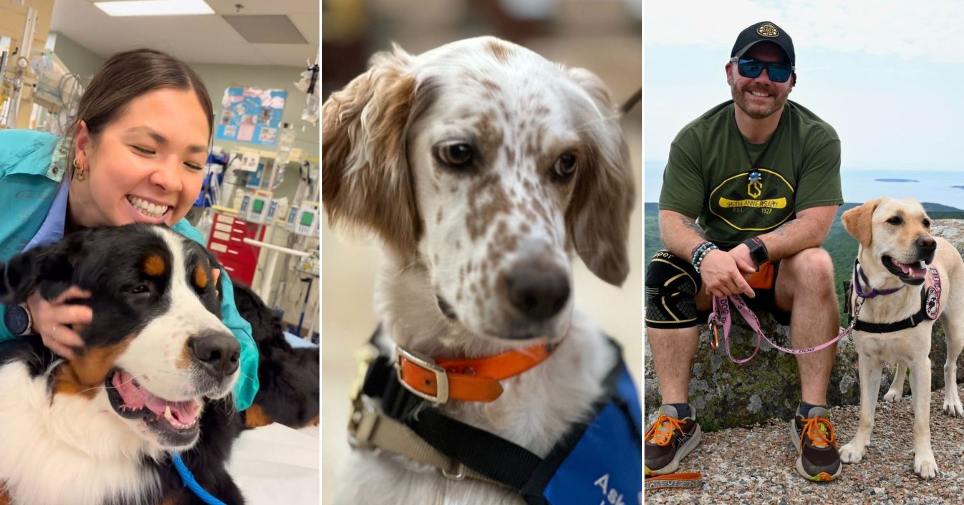 11 Amazing Ways Dogs Keep Us Happy, Healthy, and Active - Epic dogs tales