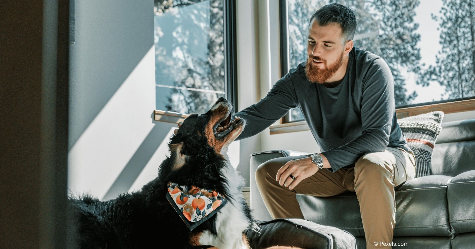 Here’s What Your Dog Might Be Saying with That Adorable Smile - Epic ...