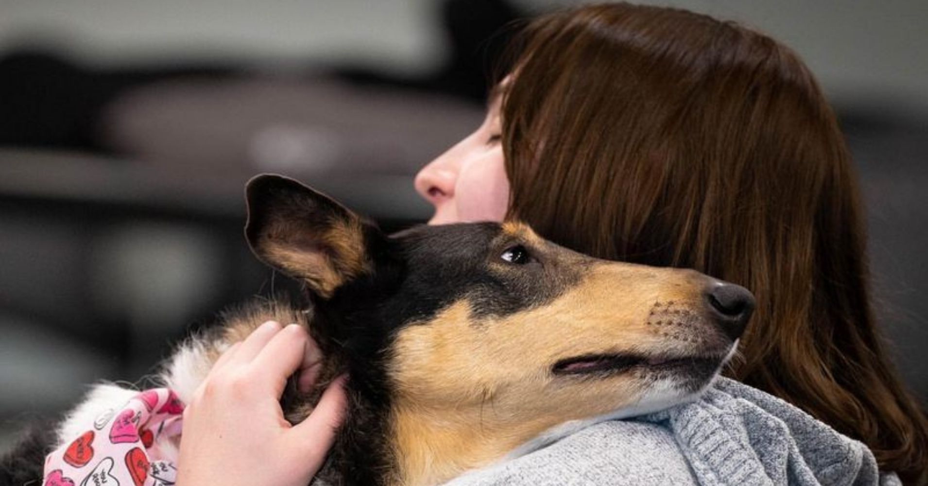 16 Heartwarming Ways Dogs Show Their Unwavering Love for Us - Epic dogs ...