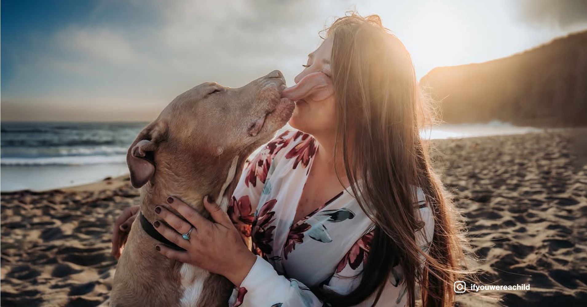 21 Heartfelt Ways Dogs Show Their Endless Love for You - Epic dogs tales