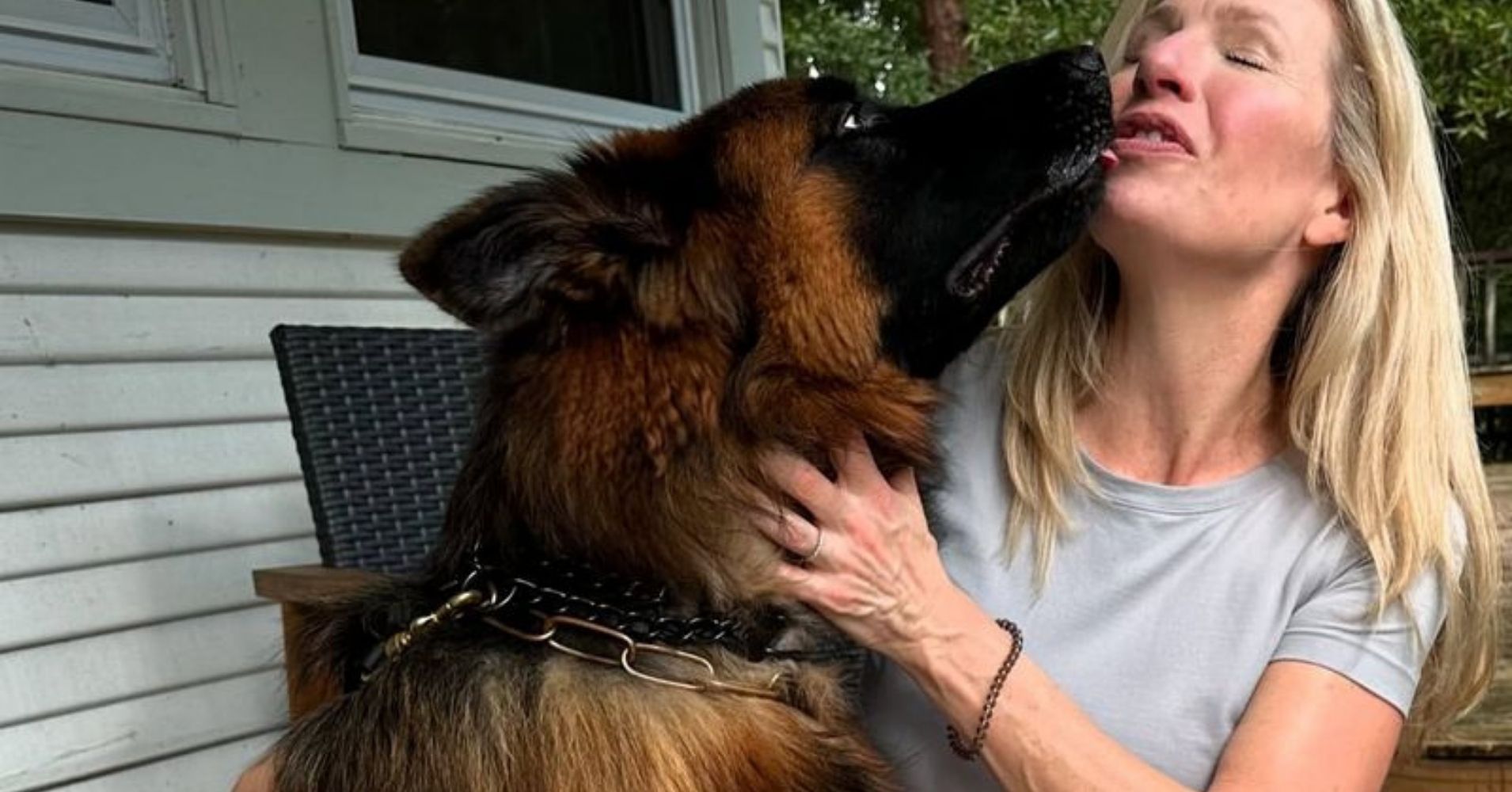 22 Devoted Dog Breeds Born to Stay by Your Side - Epic dogs tales