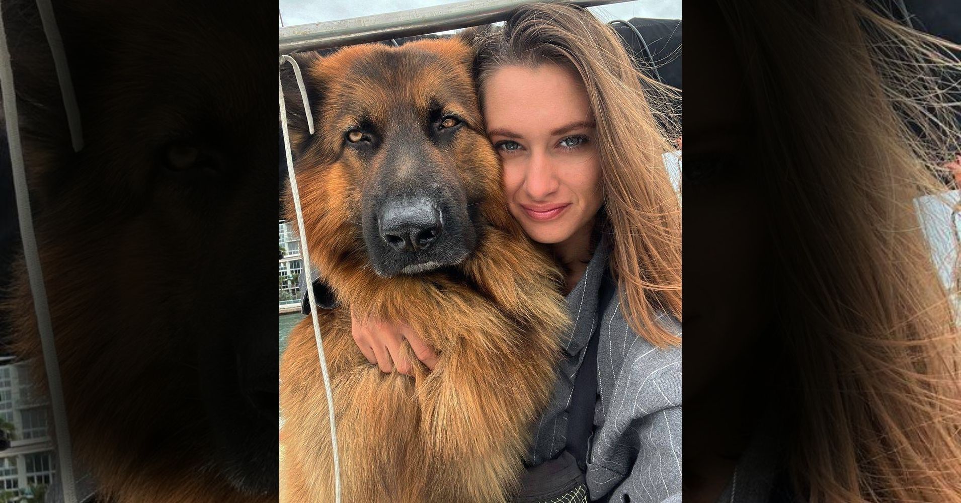 22 Devoted Dog Breeds That Will Always Stay by Your Side - Epic dogs tales