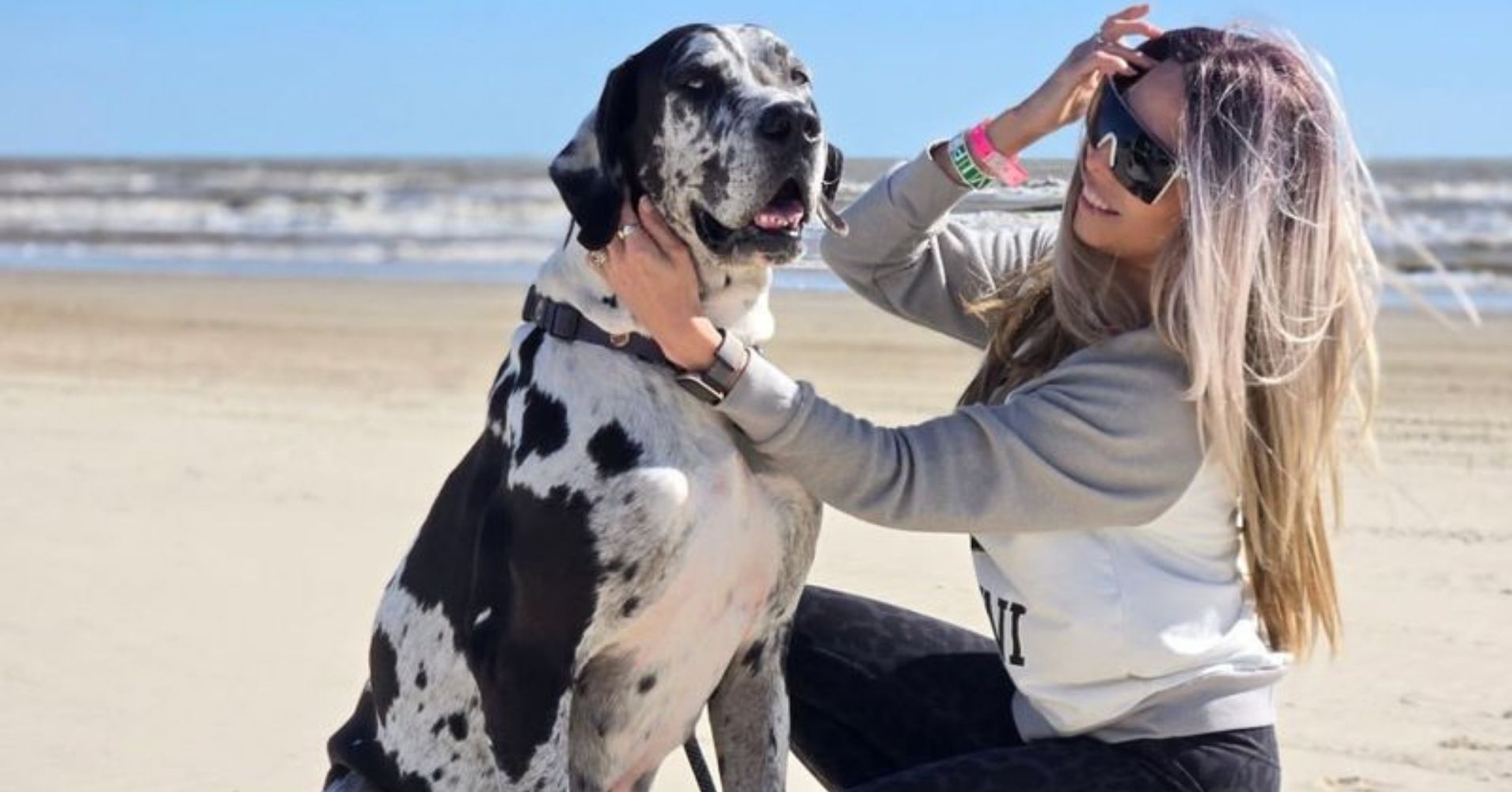 25 Calm and Gentle Dog Breeds That Are Perfect for Keeping You Company ...