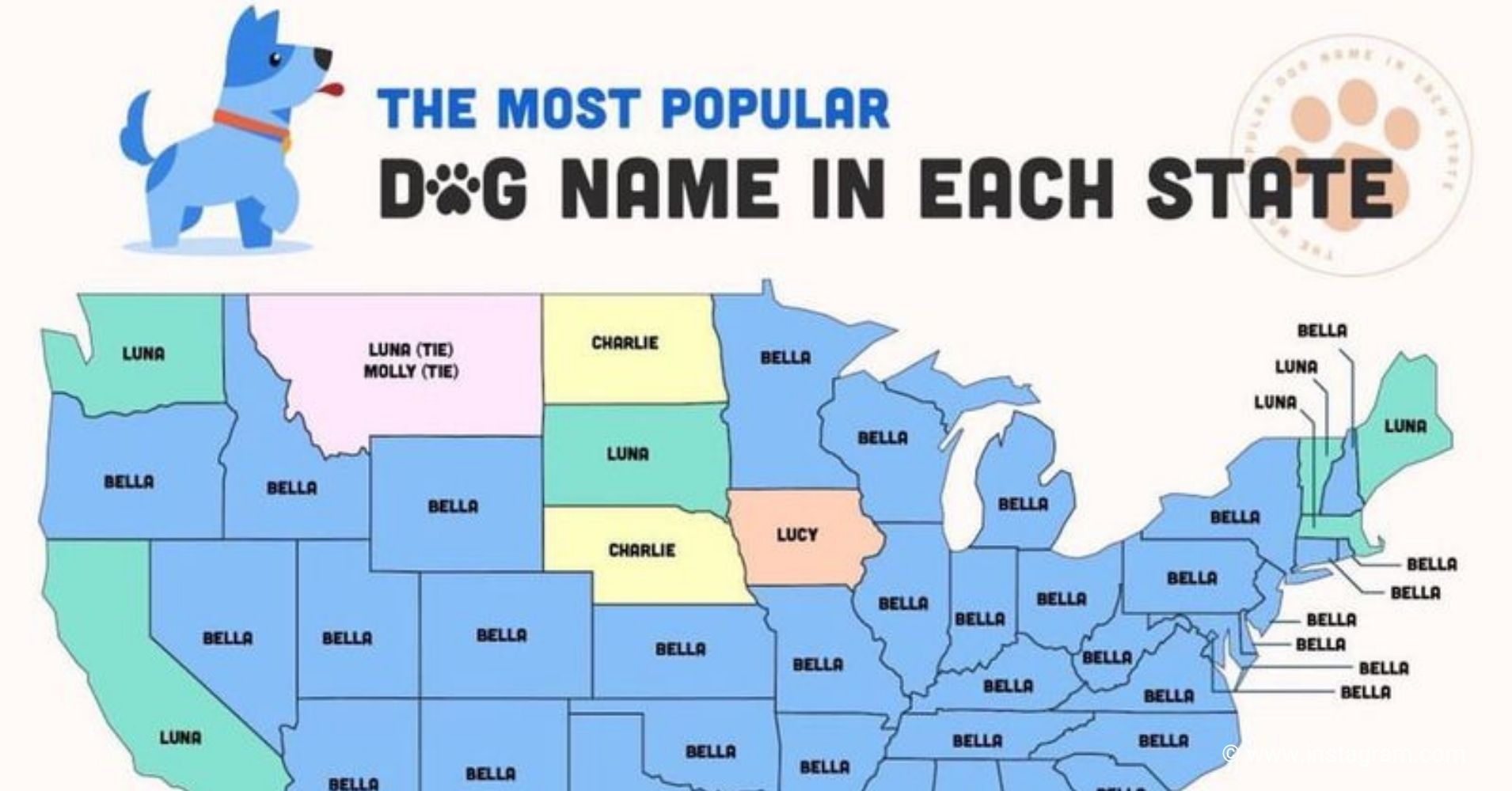 28 Trending Dog Names That Everyone Loves - Epic dogs tales