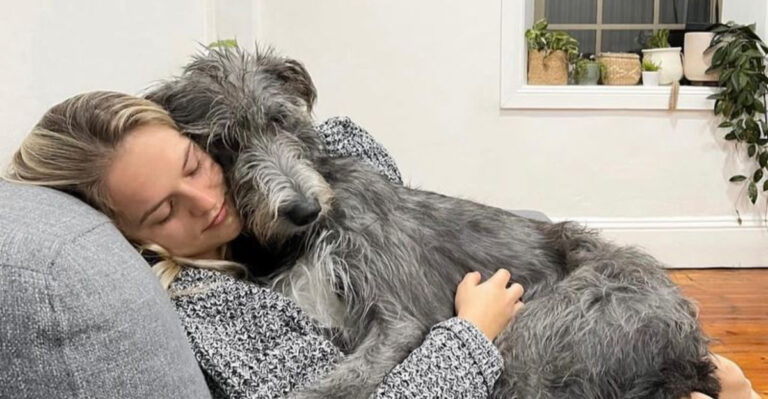19 Dog Breeds That Love to Cuddle - Epic dogs tales