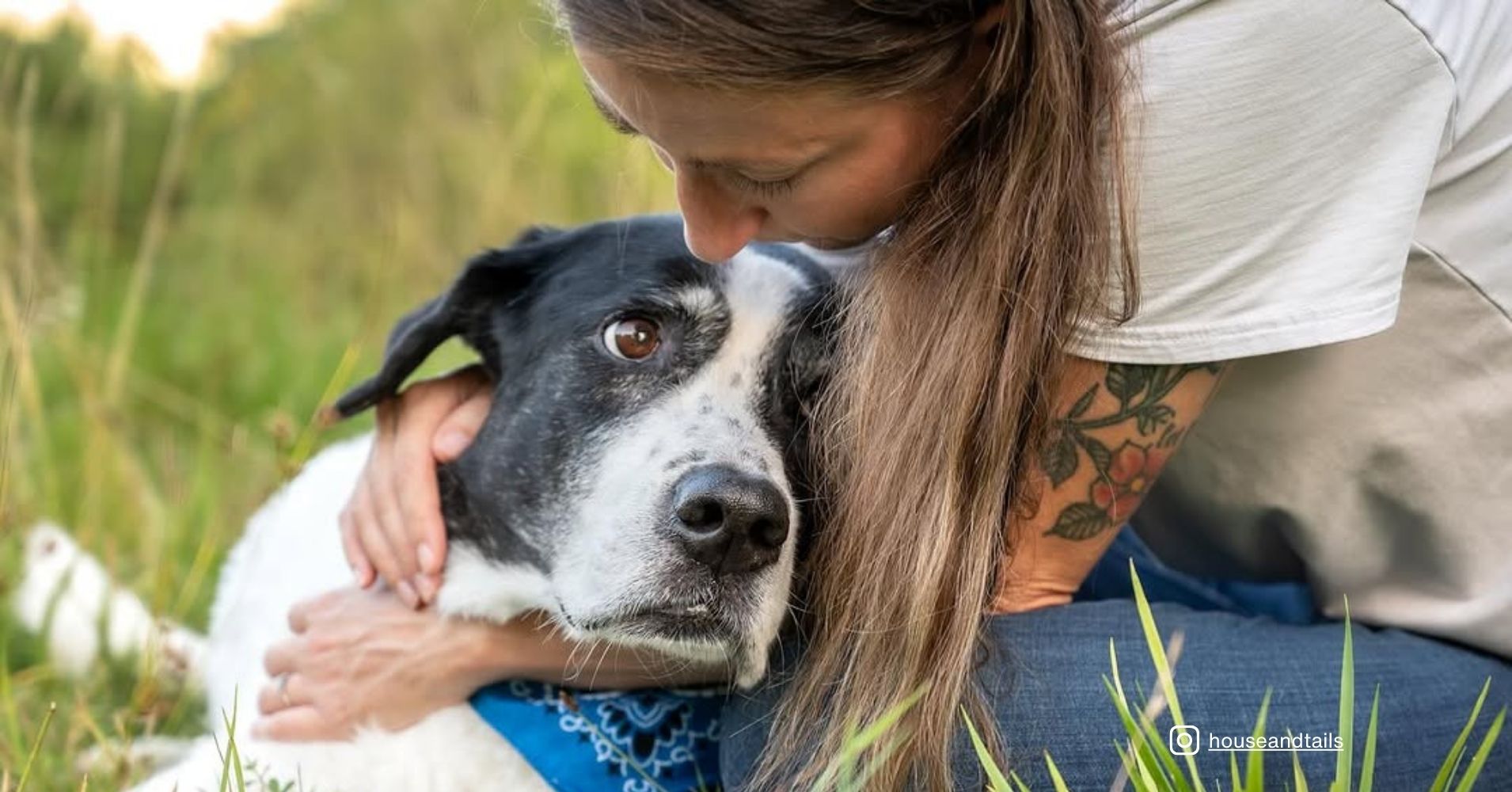 25 Extra-Loving Dog Breeds That Crave Constant Companionship - Epic ...