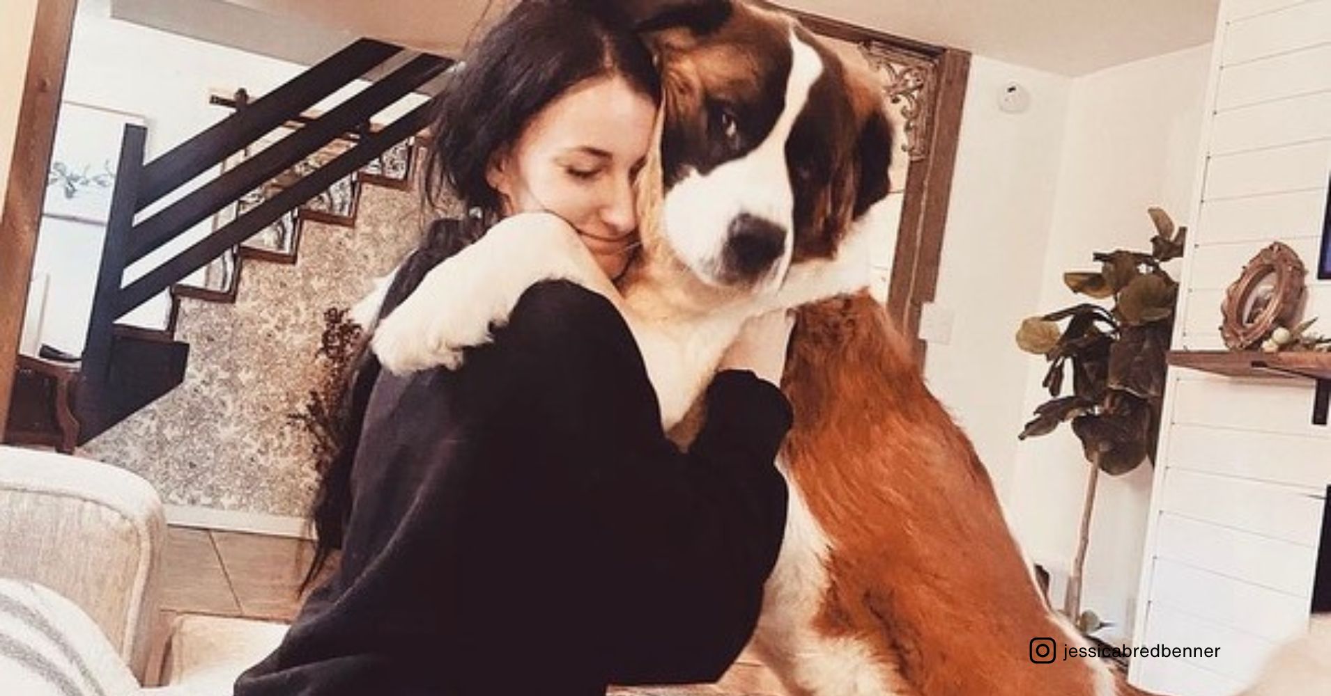 27 Large Dog Breeds with Gentle and Loving Personalities - Epic dogs tales