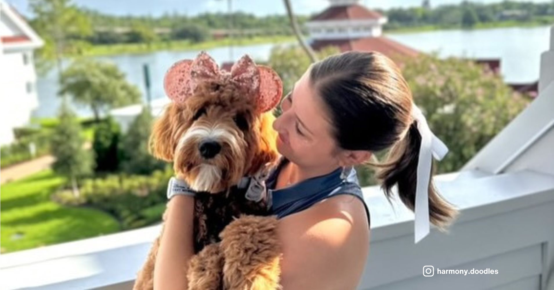 28 Dog Breeds That Thrive as Perfect House Companions - Epic dogs tales