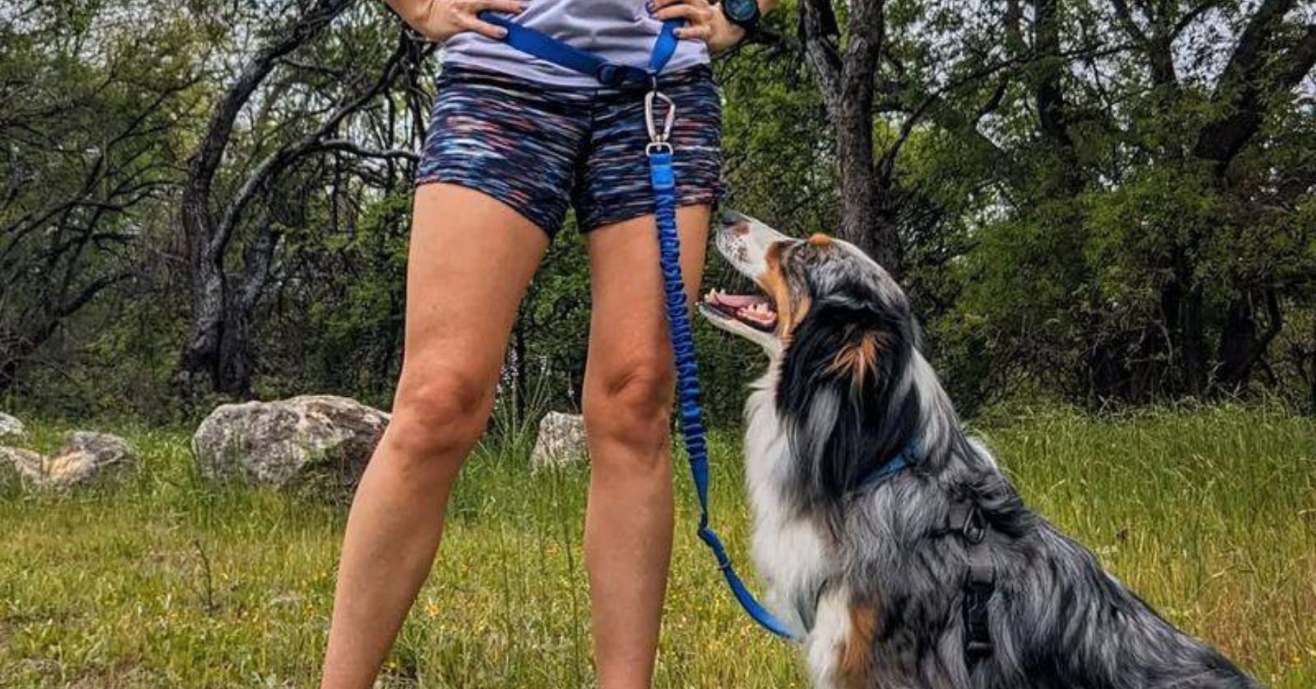 11 Top Dog Breeds for Runners Looking for the Perfect Jogging Companion ...