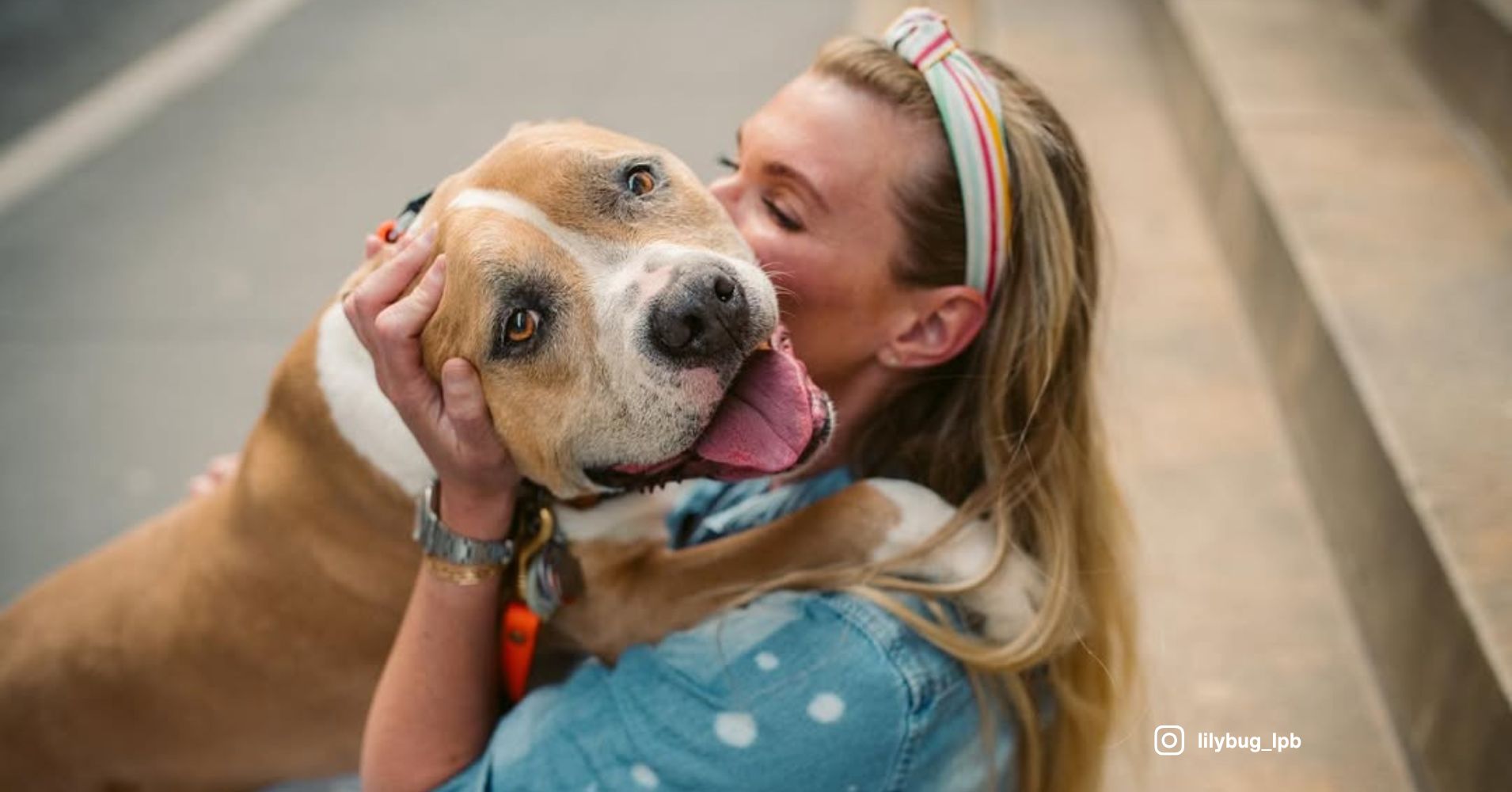 19 Heartwarming Moments That Prove Dogs Are the Ultimate Best Friends ...