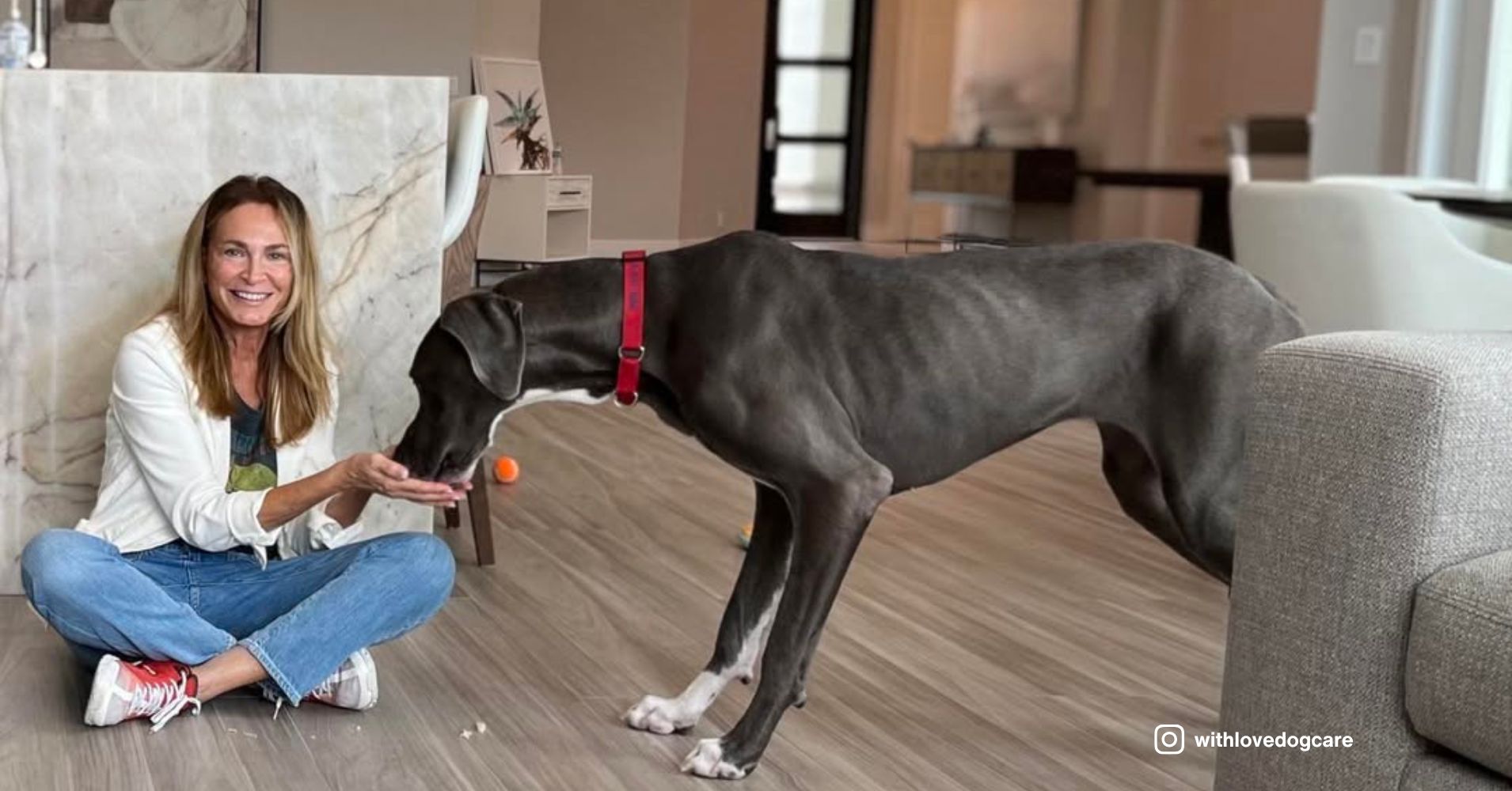 25 Giant Dog Breeds That Are Gentle Babies at Heart - Epic dogs tales
