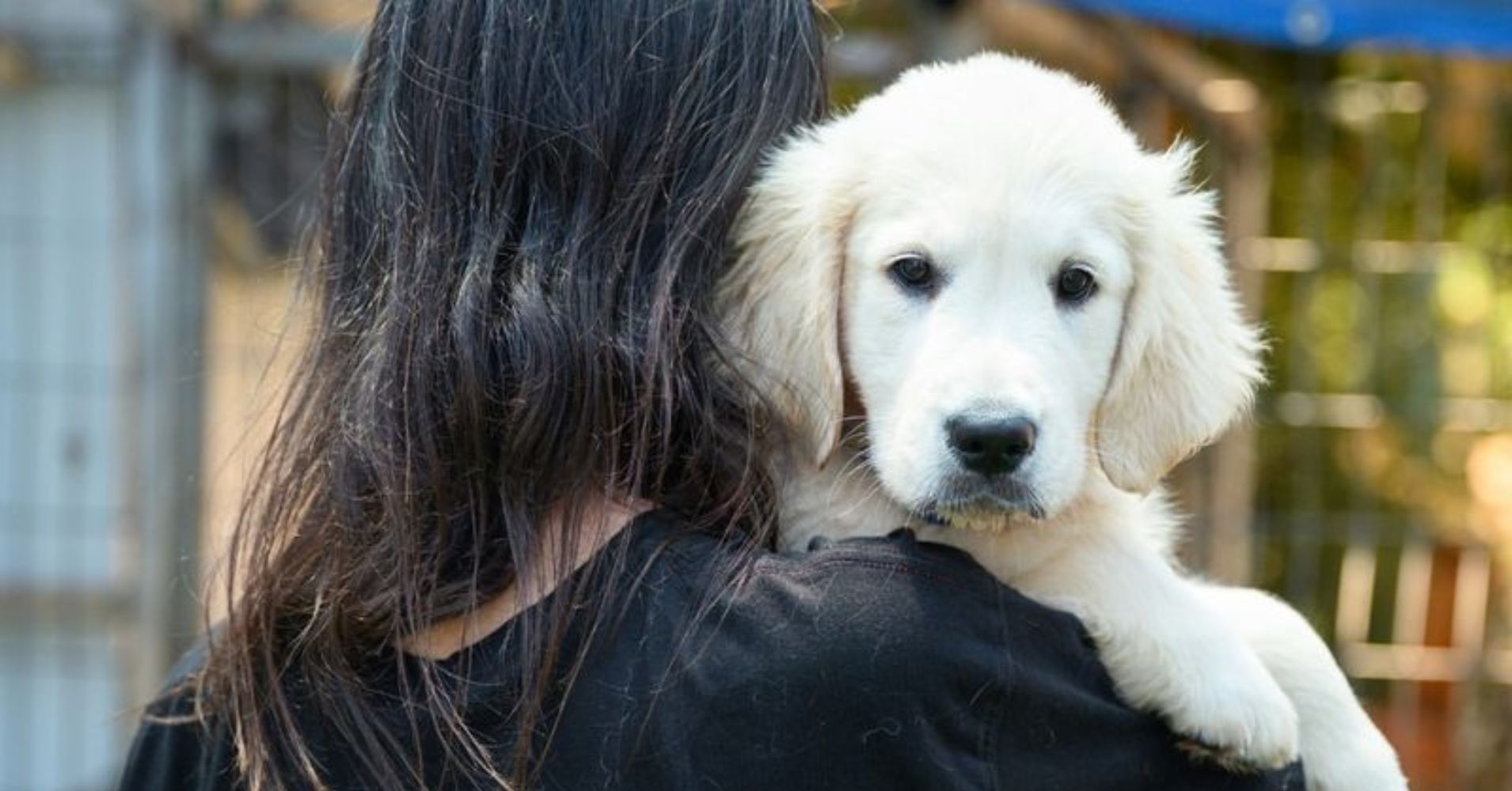 9 Incredible Ways Dogs Help Us Become Better Humans - Epic dogs tales
