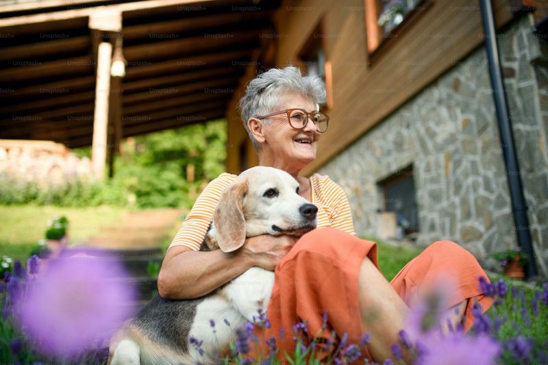 10 Heartwarming Reasons Dogs Make the Best Companions for Seniors ...
