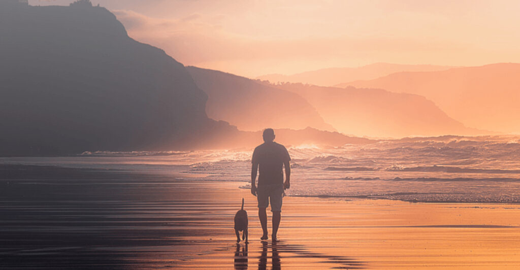 10 Important Things to Know If Your Dog Passes Away at Home — What to ...