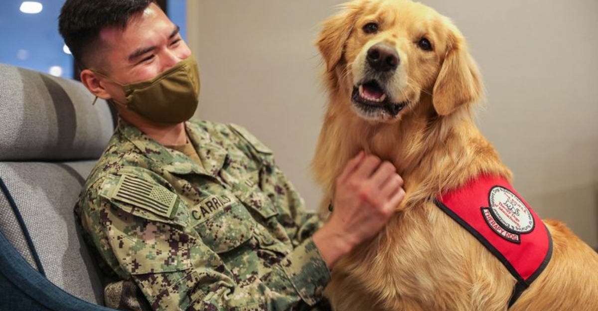 10 Specialized Military Dog Roles — And the Breeds That Excel at Them ...