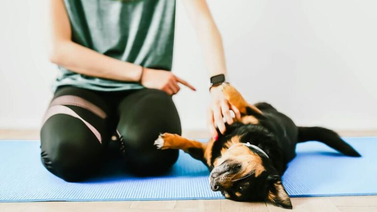 11 Controversial Cesar Millan Training Methods That Experts Say Don’t ...