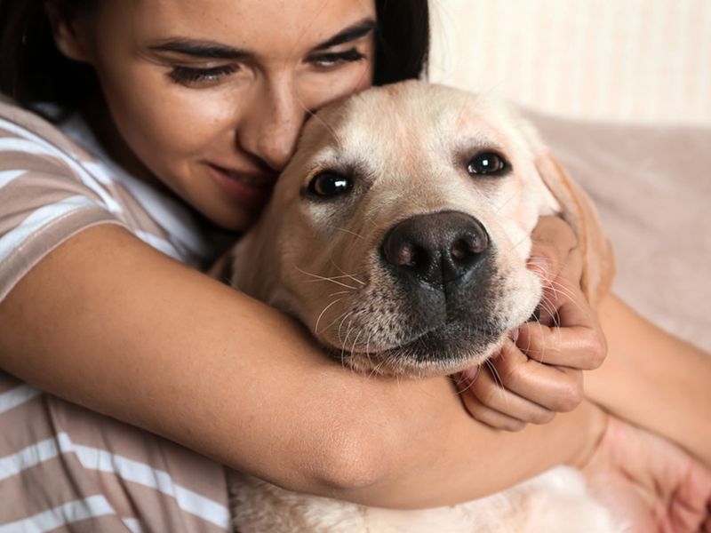 15 Human Behaviors That Dogs Secretly Can’t Stand — Are You Guilty of ...