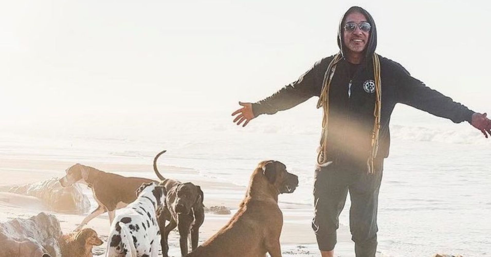 15 Ways Dogs Remind Us to Be Better Humans - Epic dogs tales