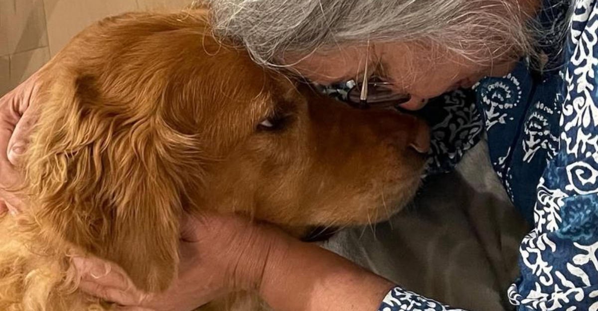 17 Dog Breeds That Have Been a Comfort Through Life’s Ups and Downs ...