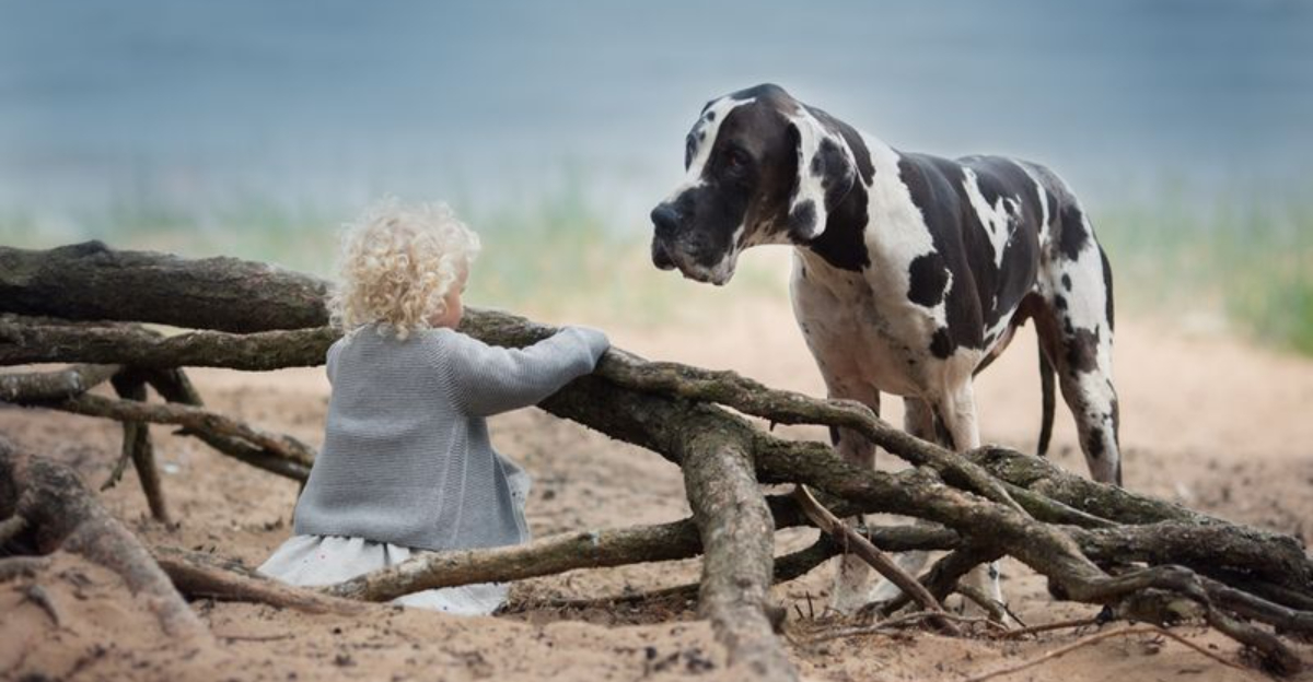 21 Best Dog Breeds to Consider if You Want a Pet That Treats You Like ...