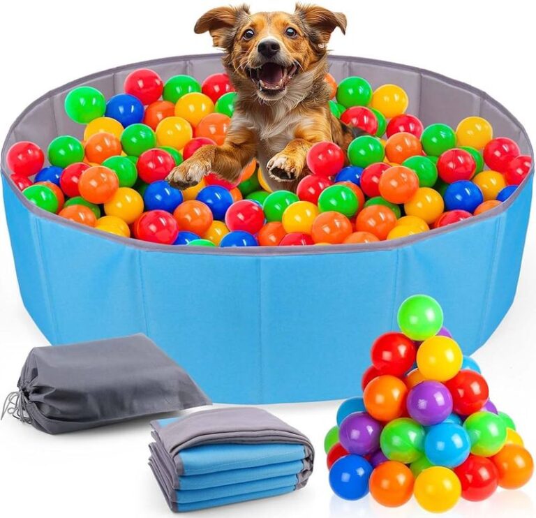 21 Creative Indoor Activities to Keep Your Dog Active, Stimulated, and ...