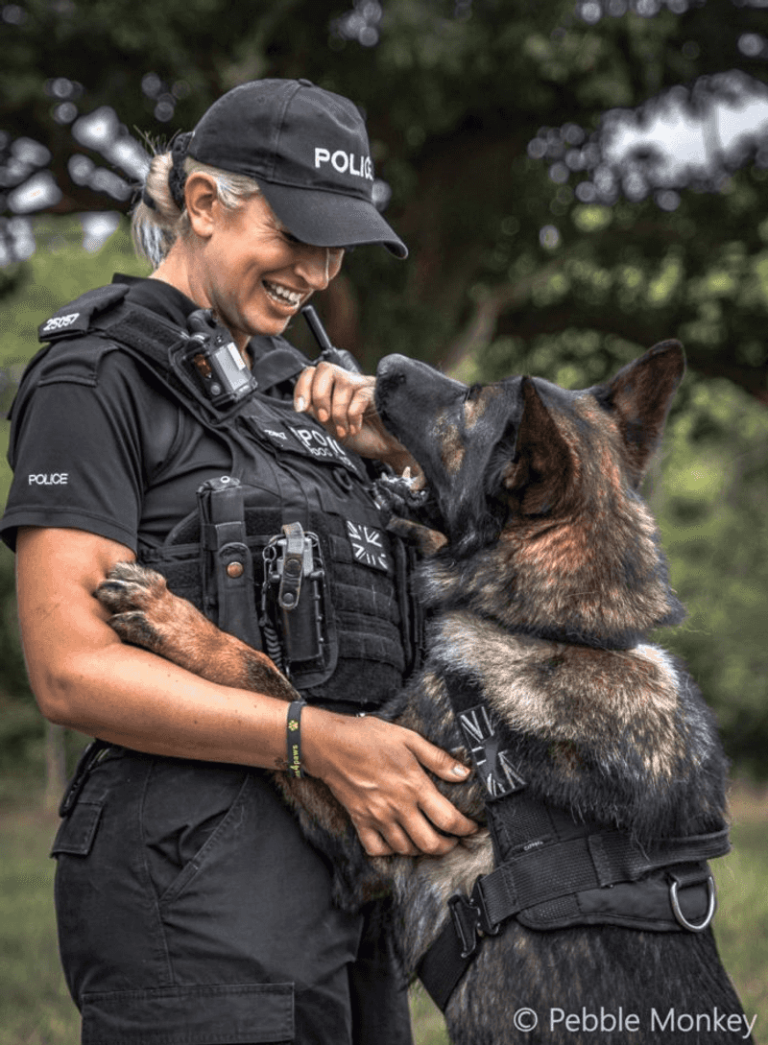 15 Things People Get Totally Wrong About Police Dogs – And the Truth ...