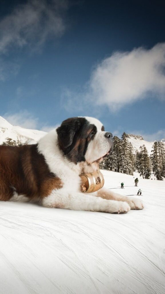 The 12 Most Powerful Dog Breeds That Have Been Symbols Of Strength ...