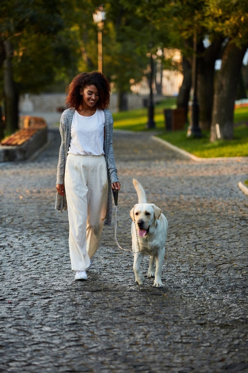 10 Simple Ways to Make Your Dog’s Day — Every Day - Epic dogs tales