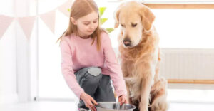 25 reasons why dogs are better pets than cats - Epic dogs tales