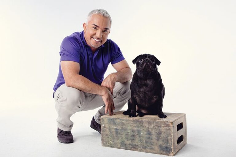 13 Tips and Tricks from the Dog Whisperer, Cesar Millan - Epic dogs tales