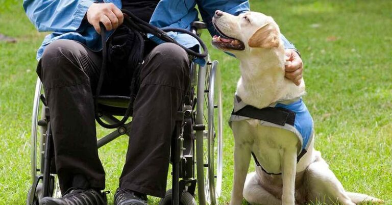 The 14 Positive Effects Of Dogs On Human Life - Epic dogs tales