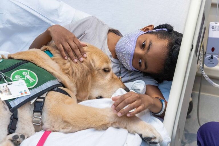 The 14 Positive Effects Of Dogs On Human Life - Epic dogs tales