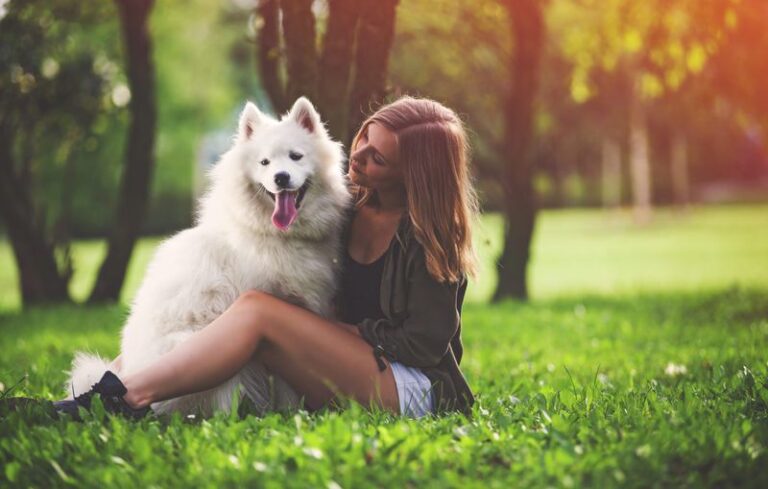 14 Little Things Dogs Do That Prove Their Love Every Day - Epic dogs tales