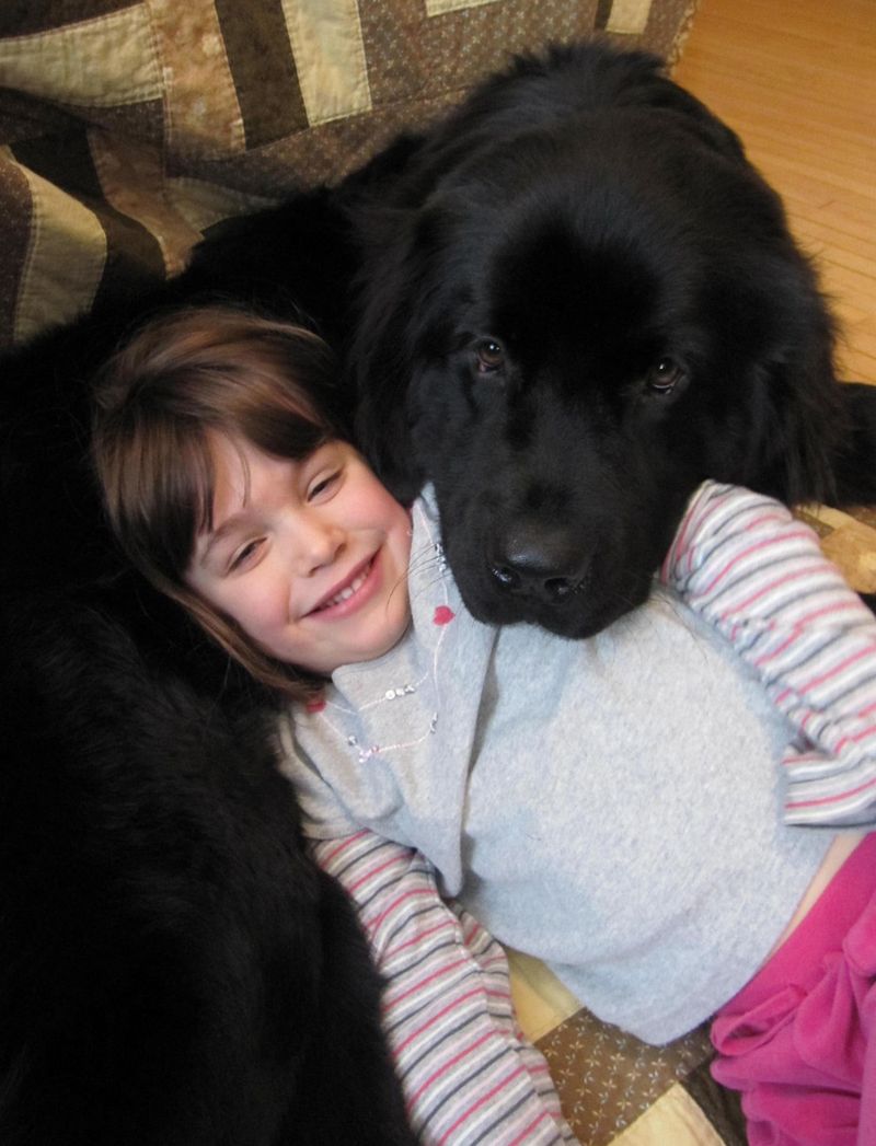 Don’t Miss Out on the Sweetest Snuggles — These 15 Dogs Give the Best ...