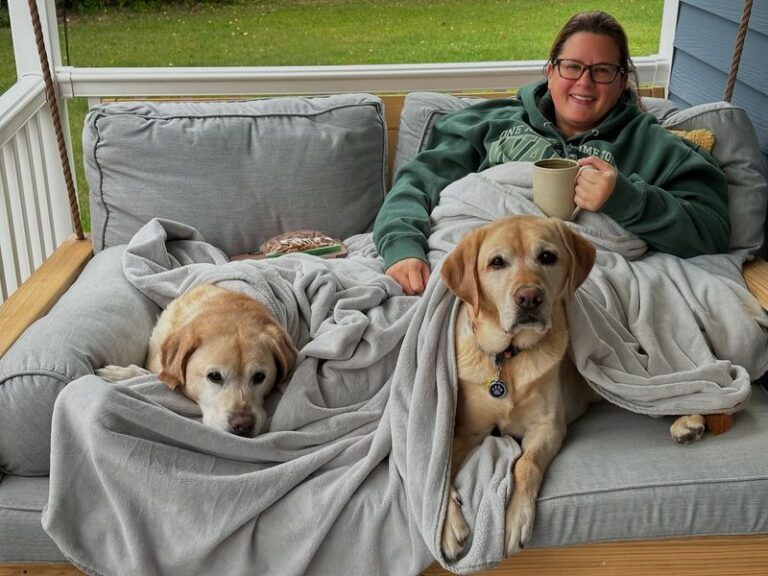 29 Affectionate Dog Breeds That Live to Cuddle - Epic dogs tales
