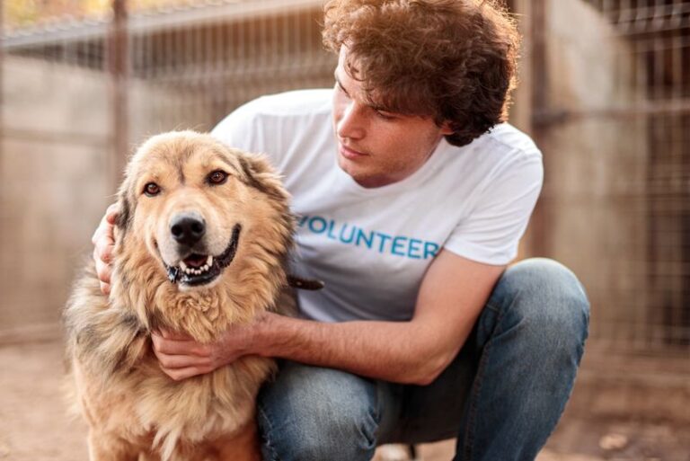 14 Simple Acts That Help Shelter Dogs Feel Safe, Loved, and Seen - Epic ...
