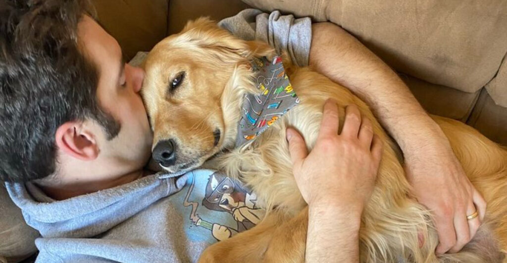 These 13 Cuddly Dogs Are the Ultimate Bedtime Companions - Epic dogs tales