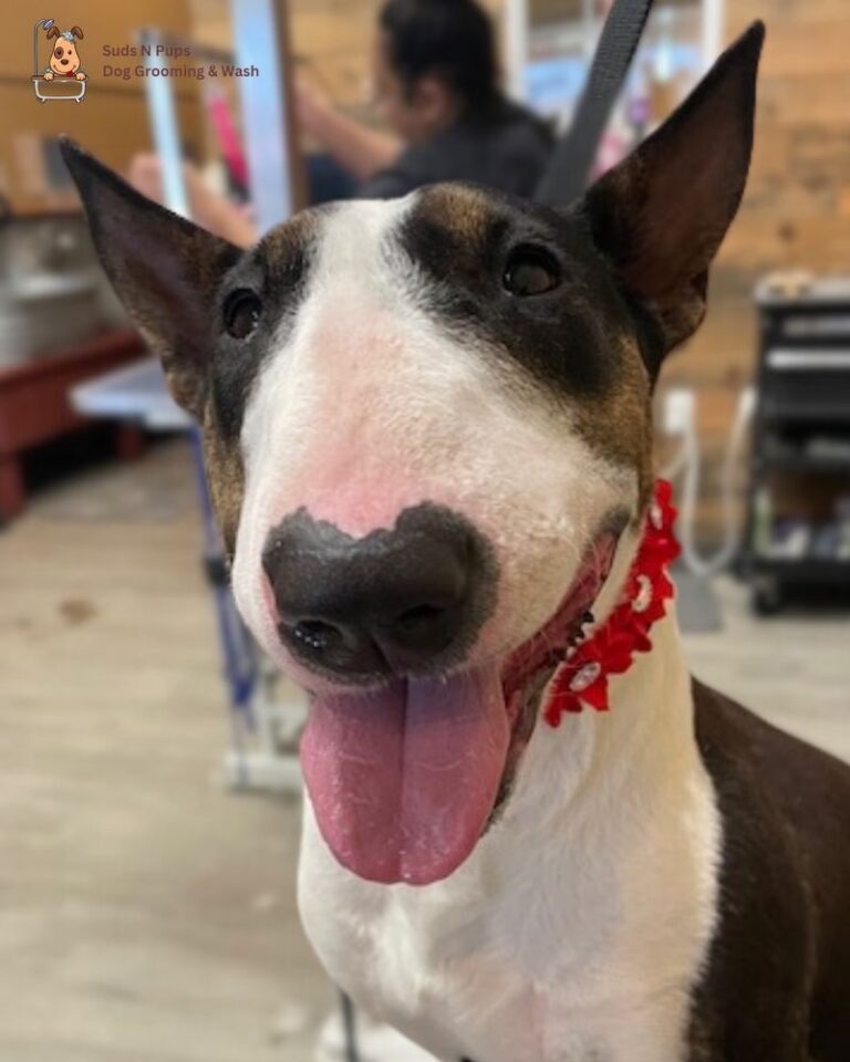 31 Unique Dog Breeds You’ll Wish You’d Discovered Sooner - Epic dogs tales